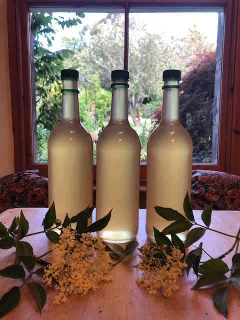 Elderflower Cordial – Ninewells Community Garden