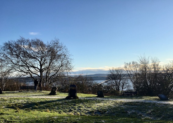 Take a walk in the park – Ninewells Community Garden