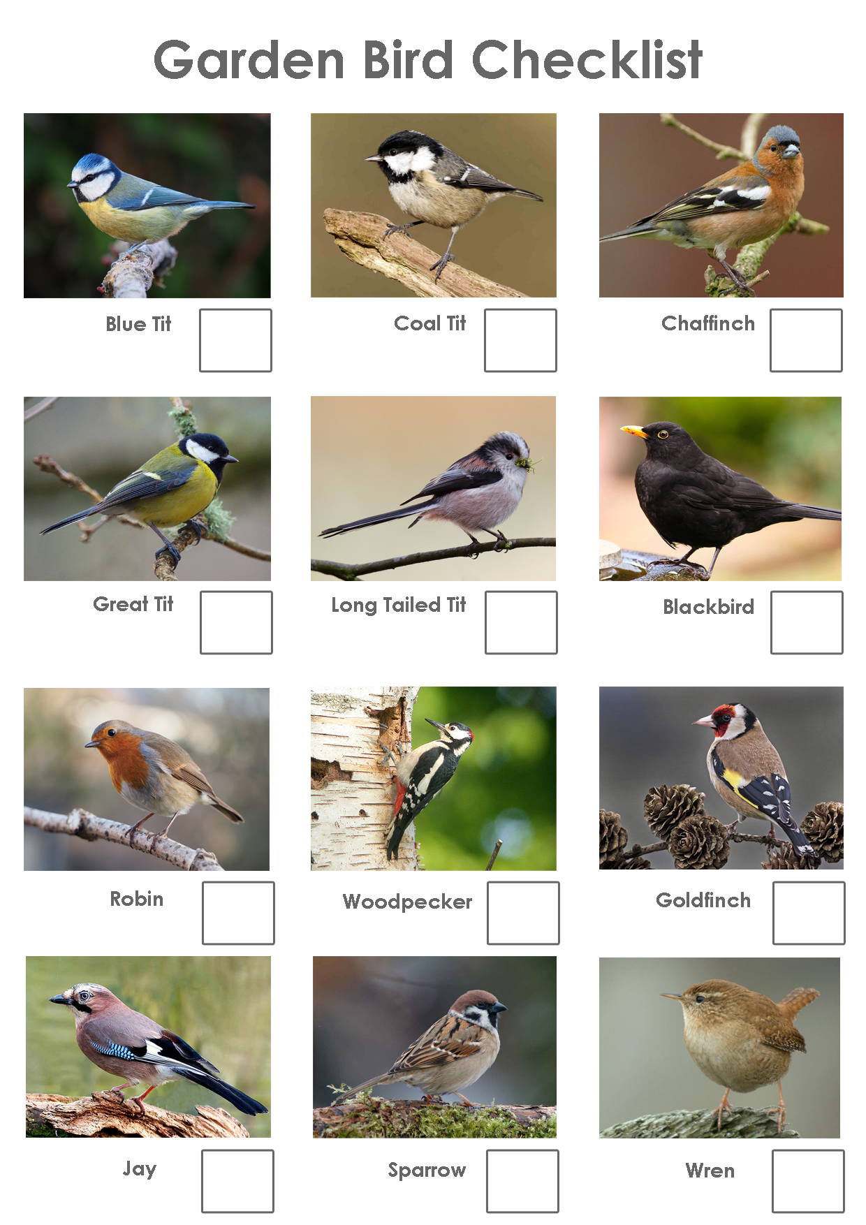 Get counting! The RSPB Big Garden Birdwatch – Ninewells Community Garden
