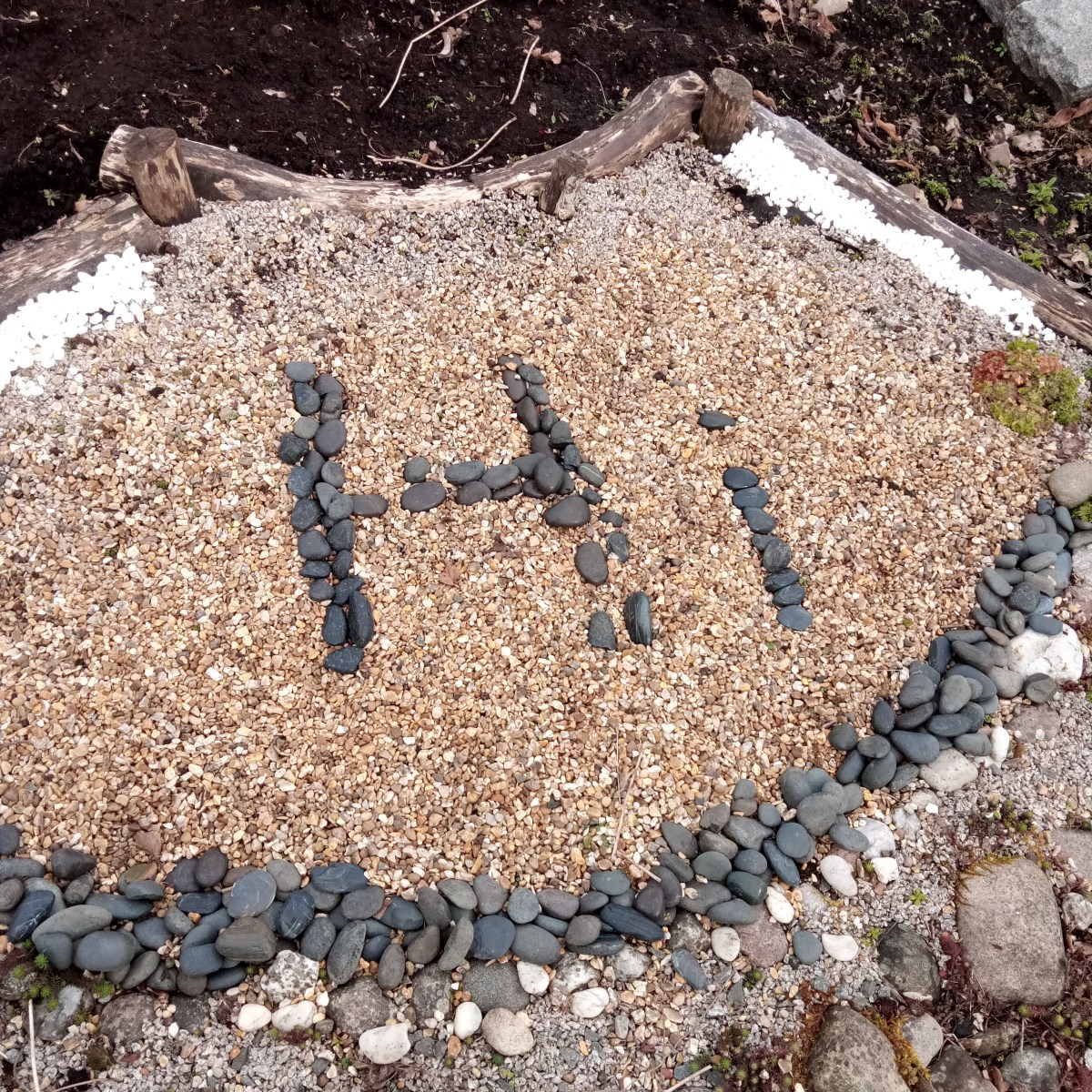PEBBLE SIGNS OF LOCKDOWN – Ninewells Community Garden